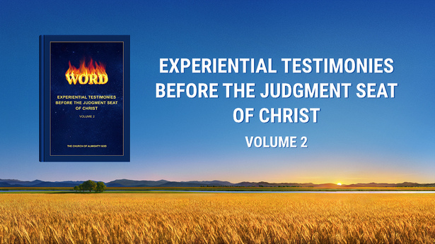 Experiential Testimonies Before the Judgment Seat of Christ (Volume 2 ...